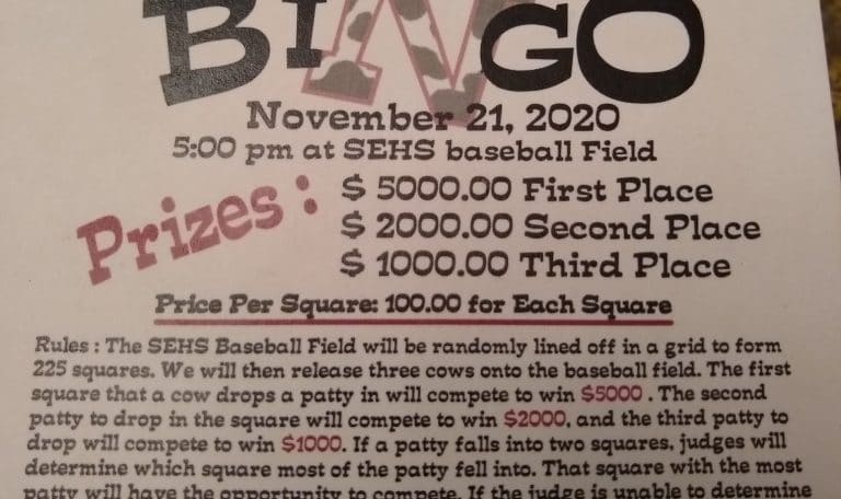 SEHS Baseball Team Selling Tickets For Cow Patty Bingo Fundraiser ...