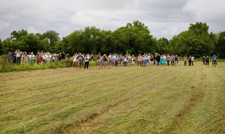 Alabama Audubon’s First Annual BLACK BELT BIRDING FESTIVAL Is Coming To ...