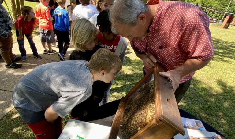 Local Beekeeper, Allen Mills, Keeps His Passion For Honeybees Through ...