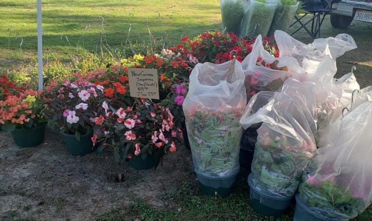 Fresh And Beautiful: Millbrook Farmers Market In Full Swing - Elmore ...